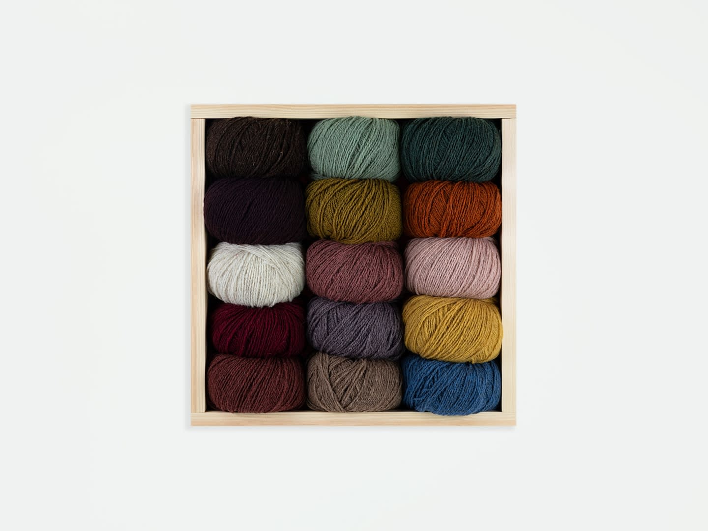 Xolla Pastoreta - Wild and Woolly